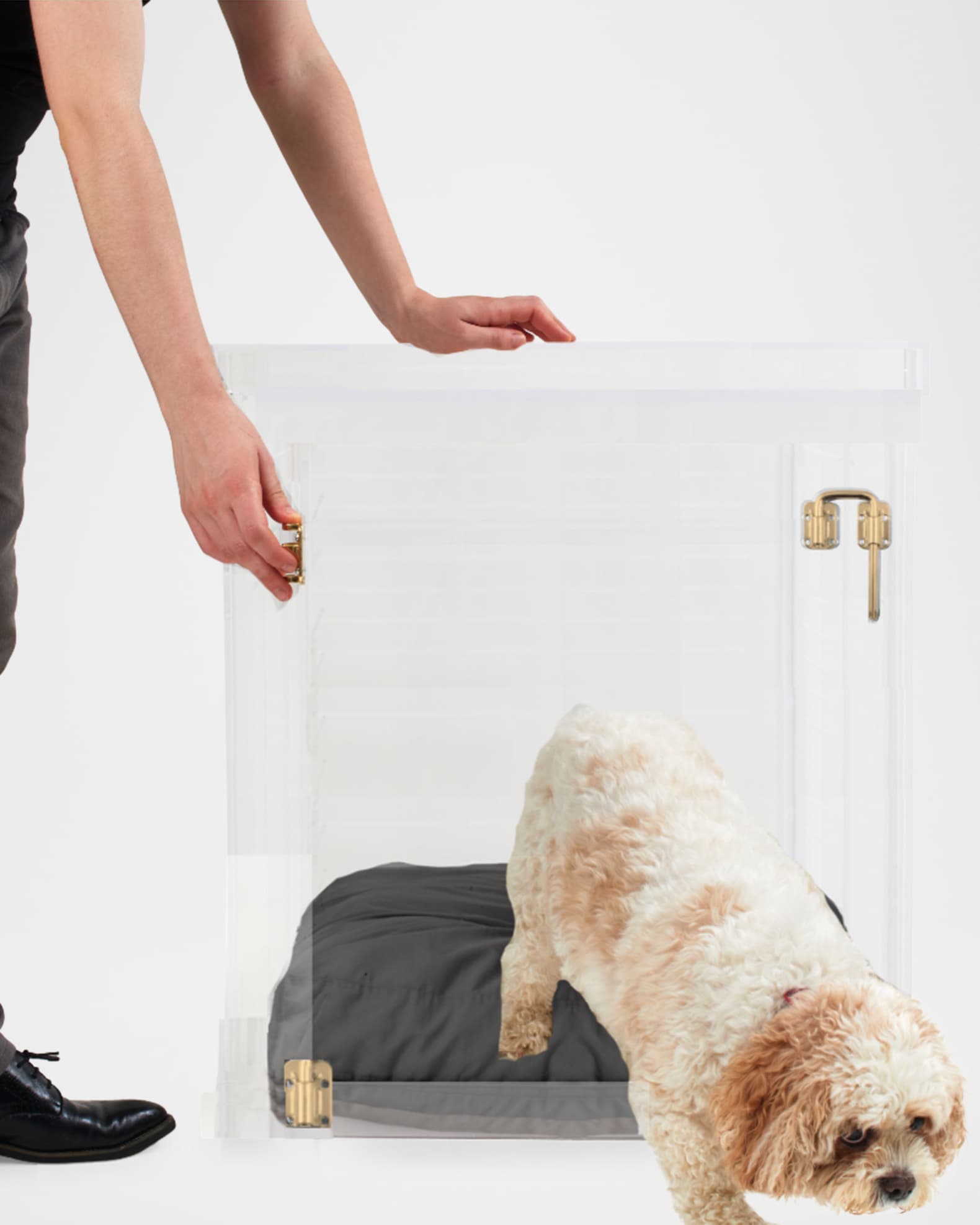 HIDDIN Medium Clear View Pet Crate with Golden Latch | Neiman Marcus