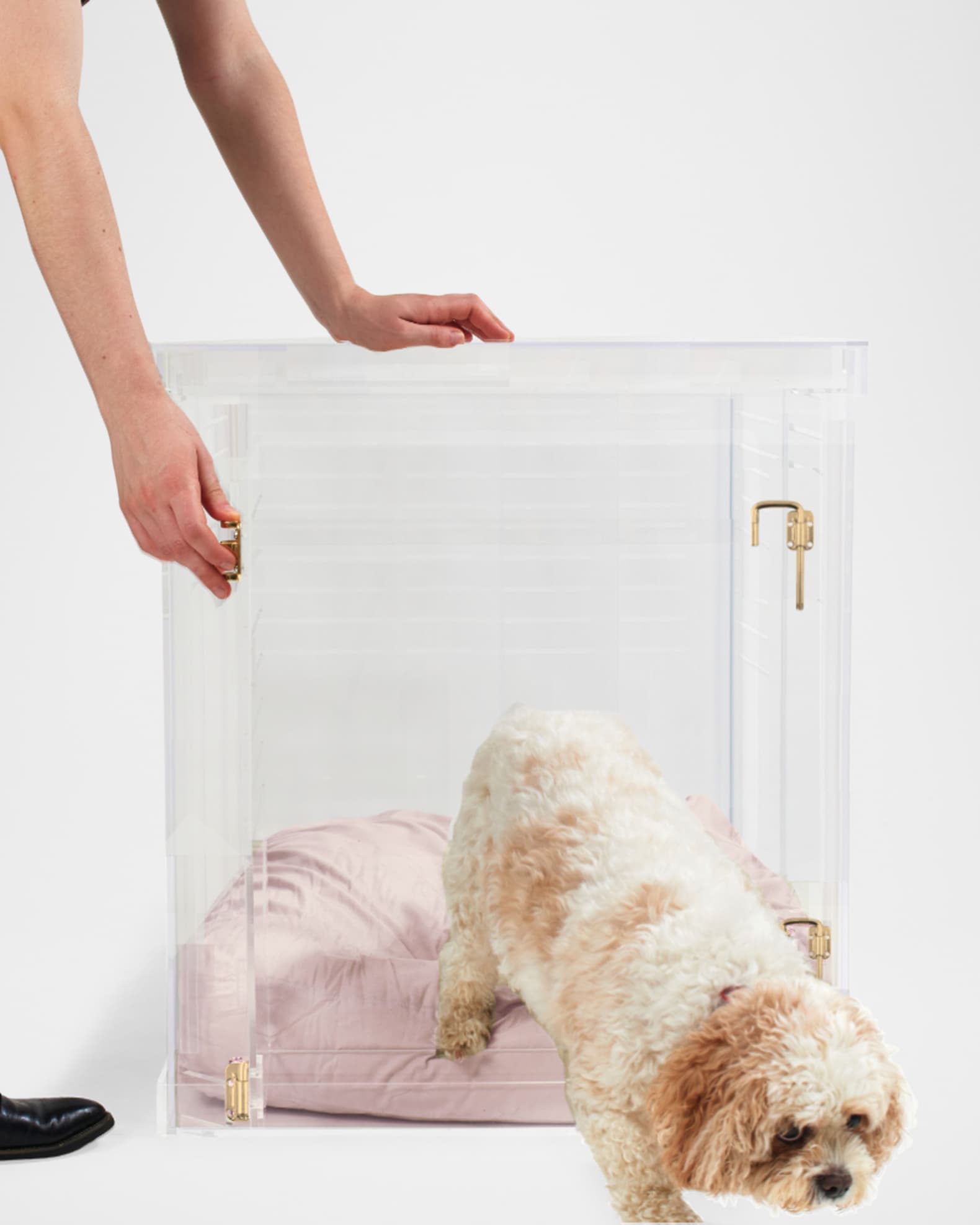Medium Clear View Pet Crate with Gold Latch Collection | Neiman Marcus