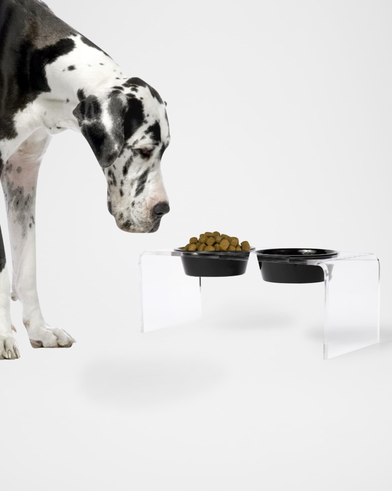 Medium Clear Silver Double Bowl Pet Feeder Collection | Neiman Marcus