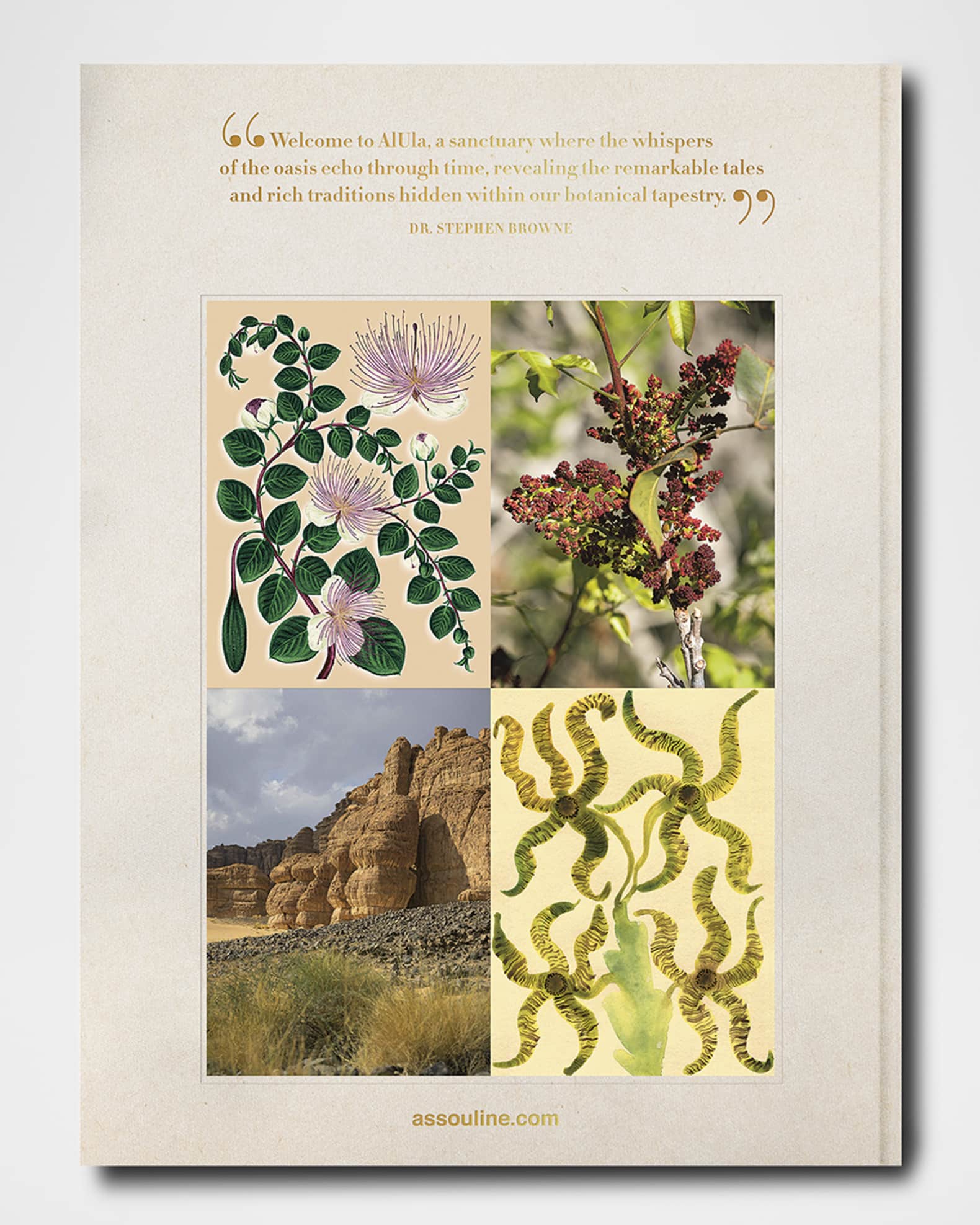 Assouline "AlUla Flora: A Botanical Treasure" Book by Abdulaziz Assaeed ...