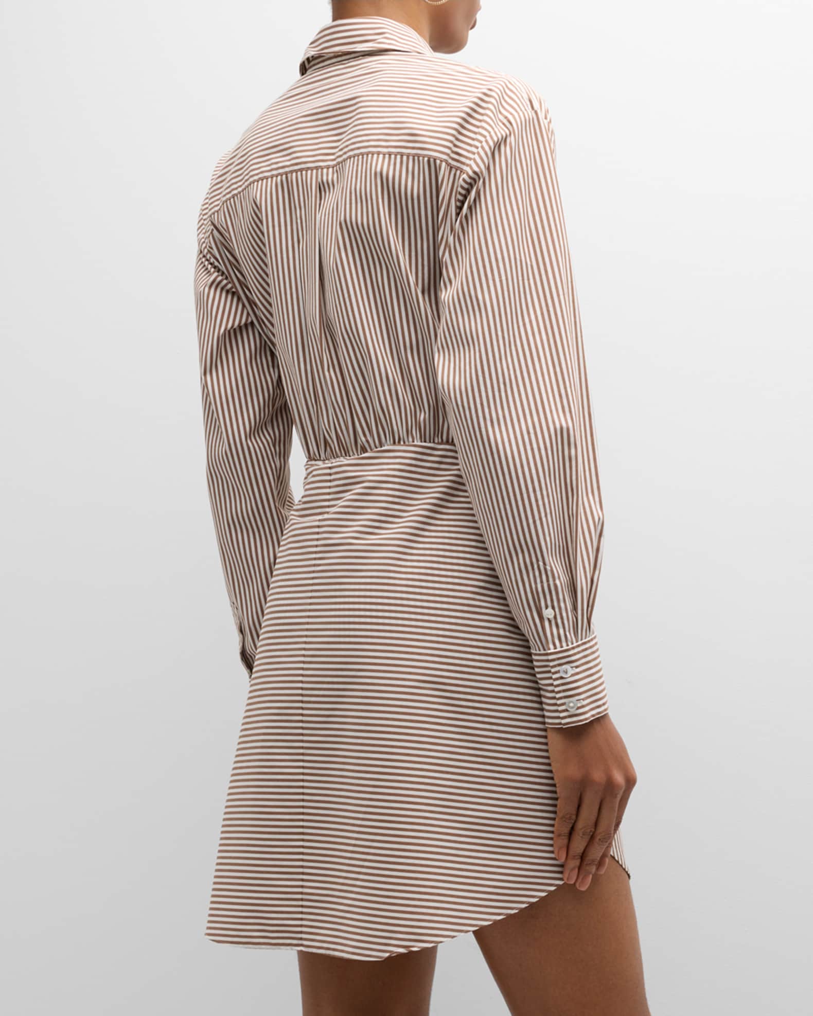 Veronica Beard Roanoke Shirtdress