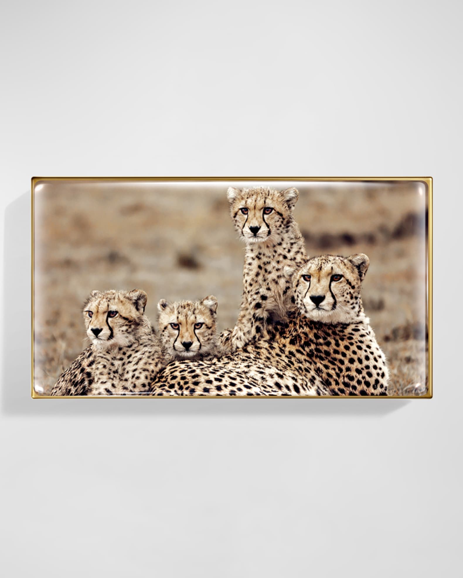 Chantecaille Limited Edition Eye Shadow Trio - Cheetah Collection ...