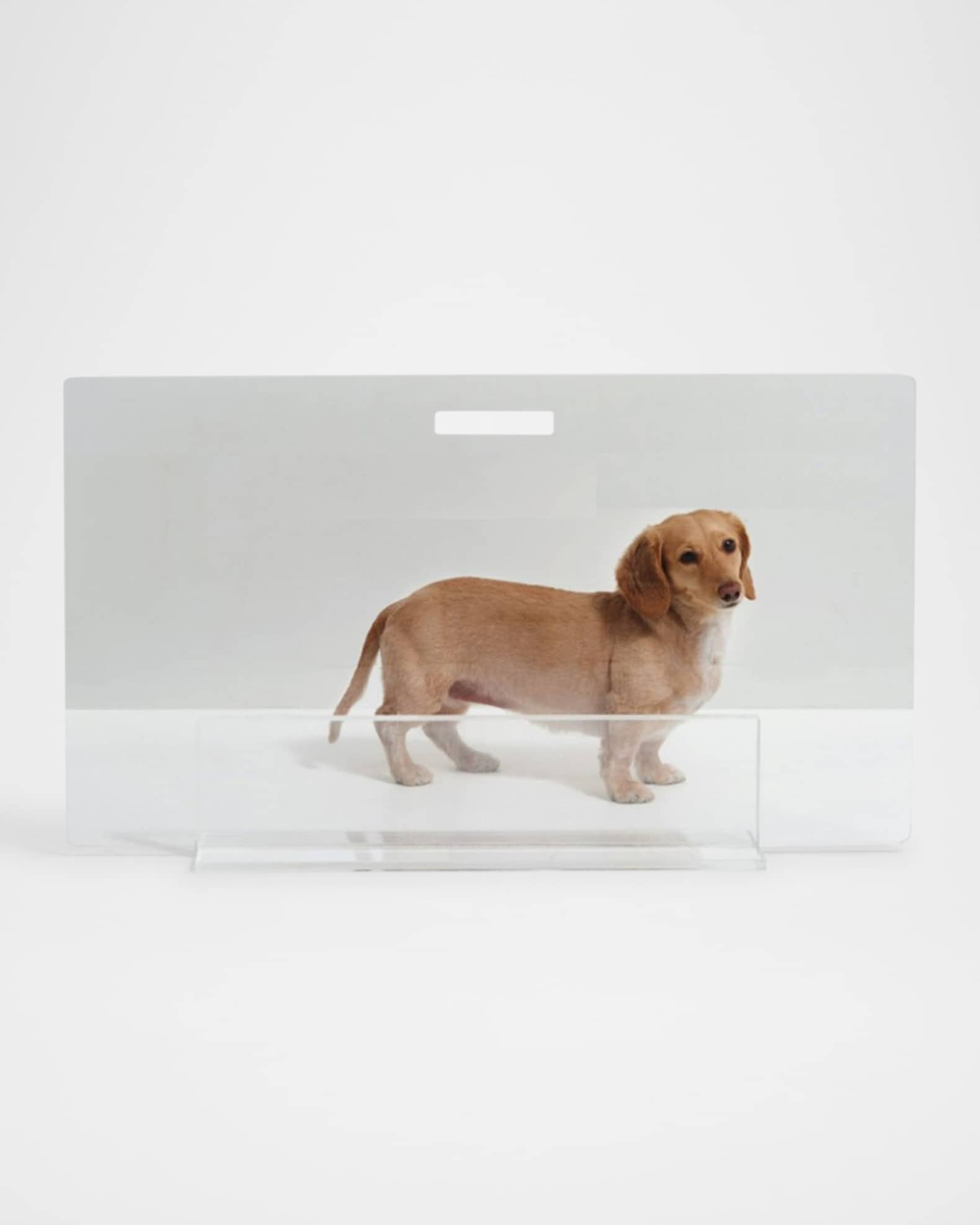 Low Clear Pet Gate Panel | Neiman Marcus