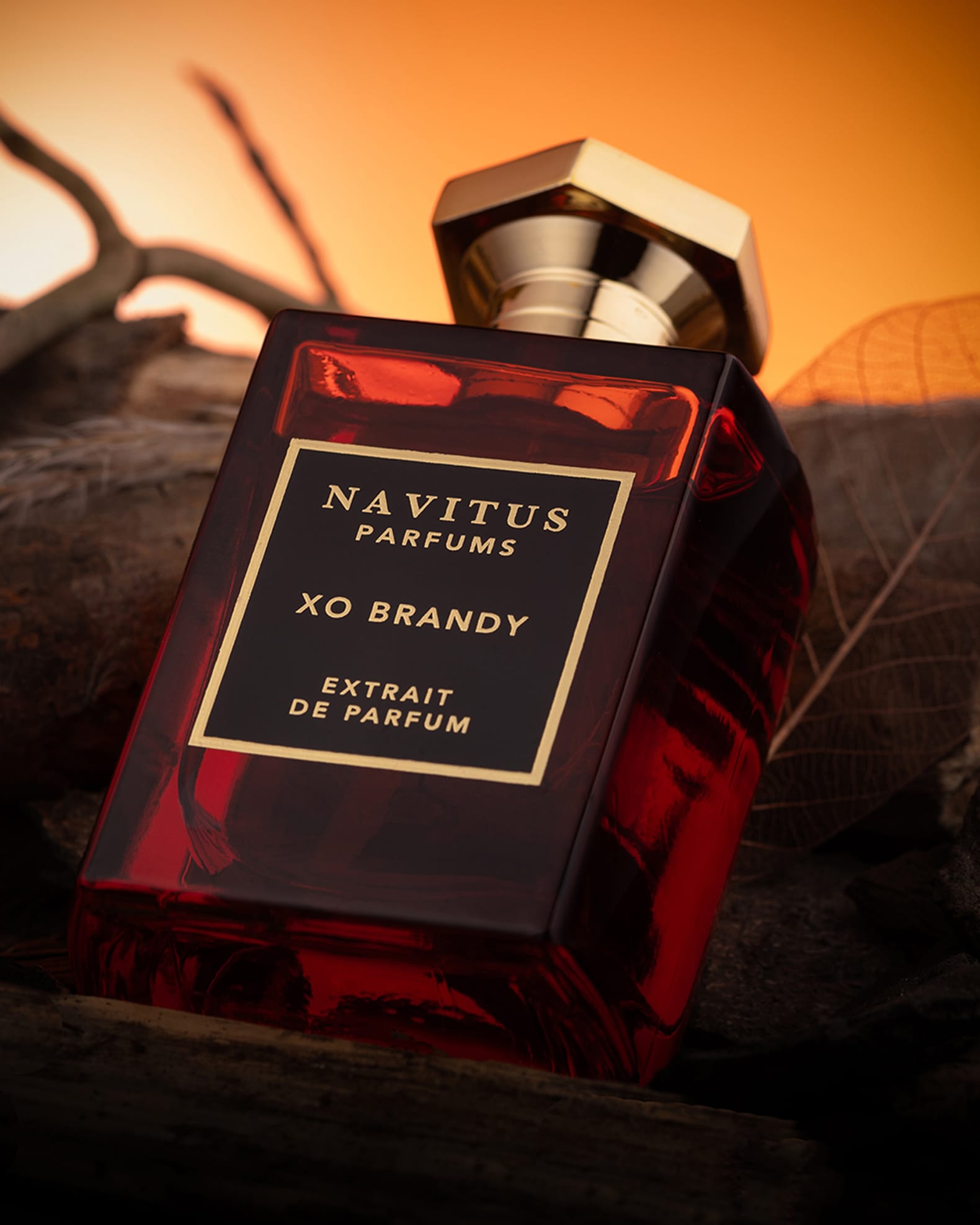Navitus Parfums XO Brandy Extrait De Parfum, 100 mL | Neiman Marcus