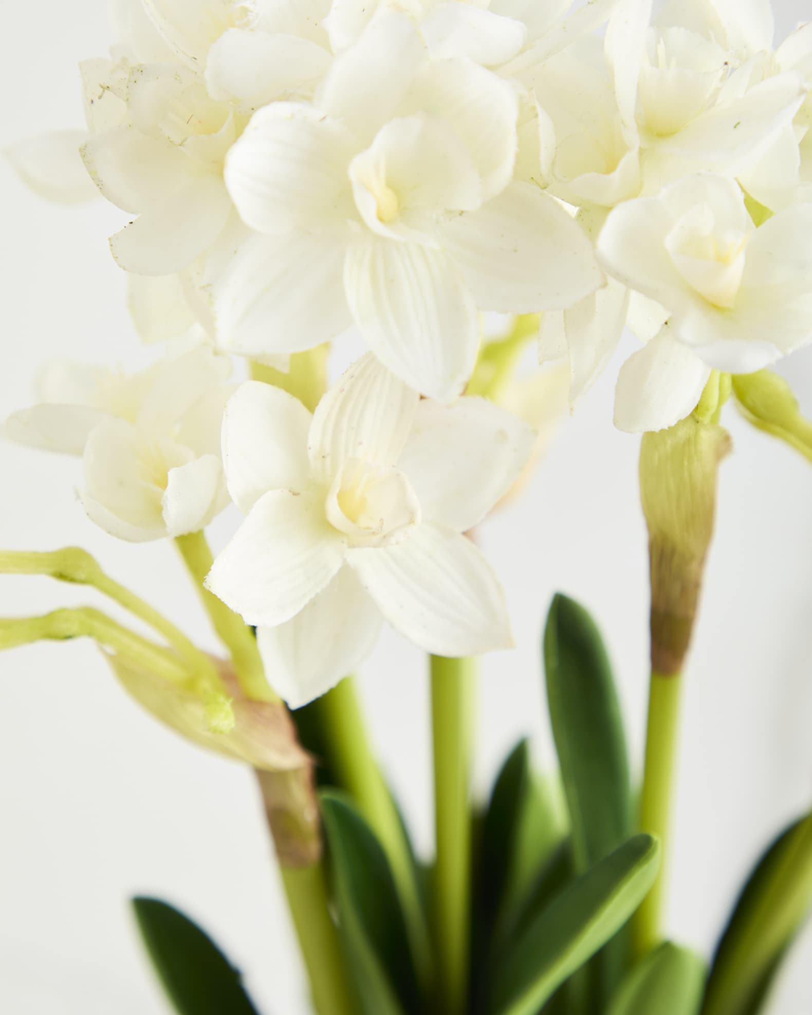 T&C Floral Company Christmas Paperwhite Narcissus 13" Faux Floral ...