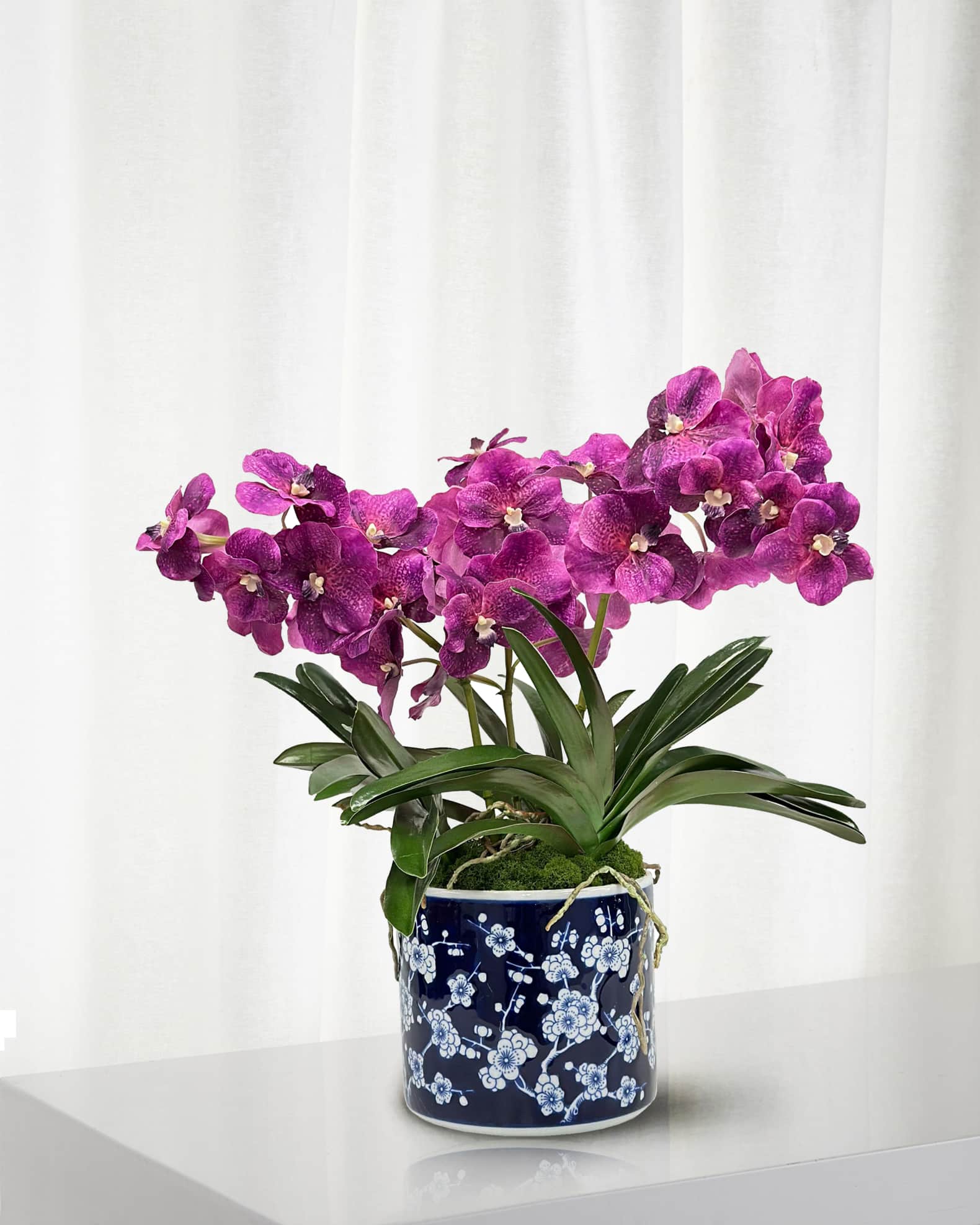 Winward Home Vanda Orchid 21" Faux Floral Arrangement in Porcelain Pot ...