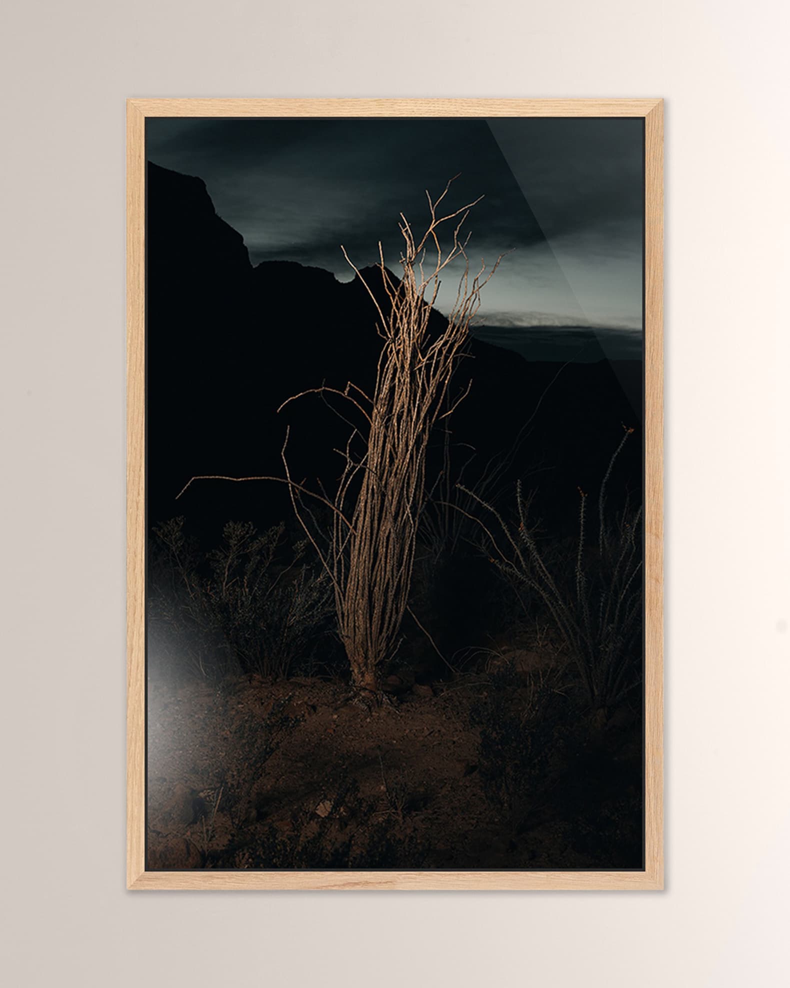 Four Hands "Ocotillo III" Framed Metal Art Print by Mandy Steinback ...