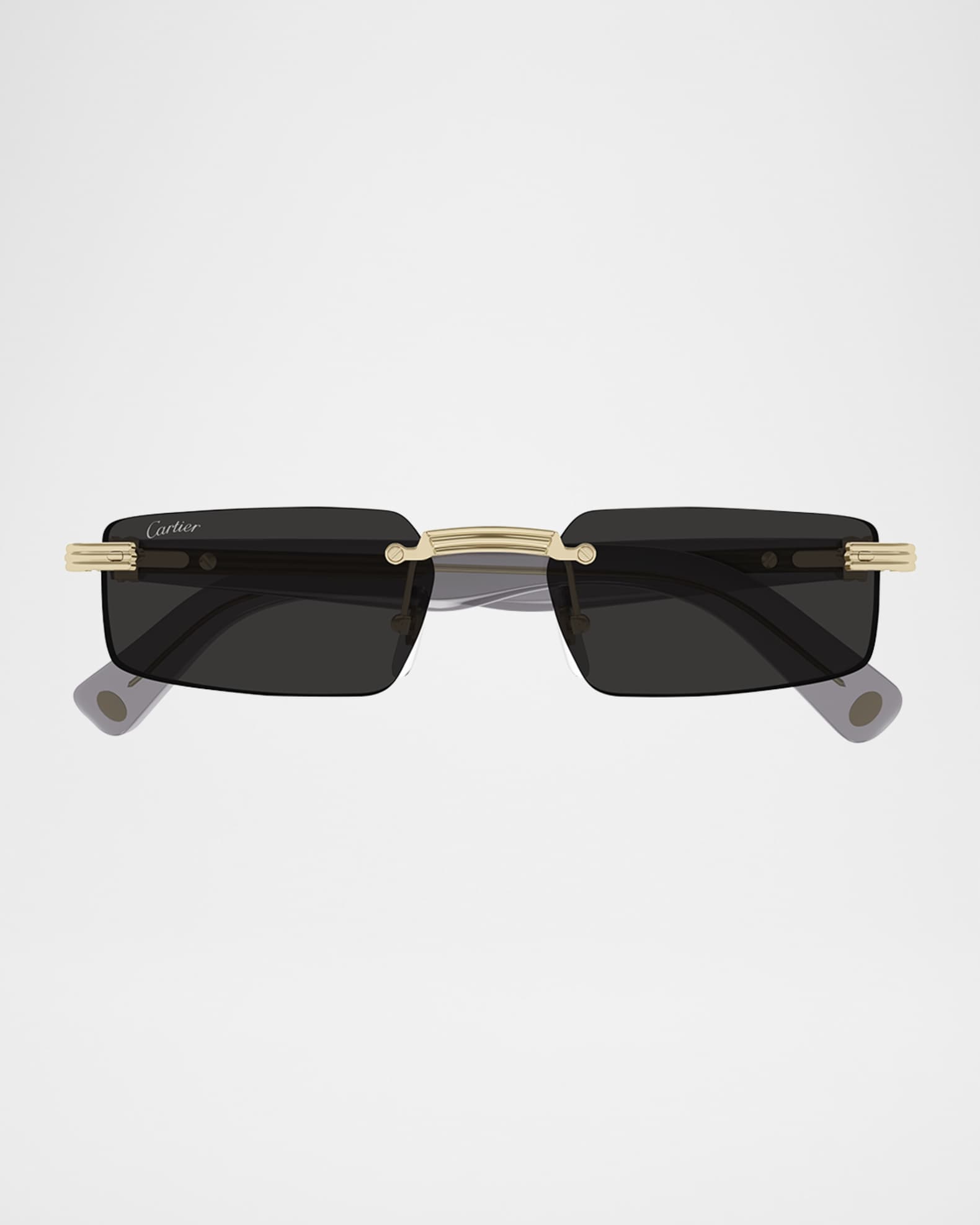 Cartier Men's CT0537SM Metal Rectangle Sunglasses | Neiman Marcus
