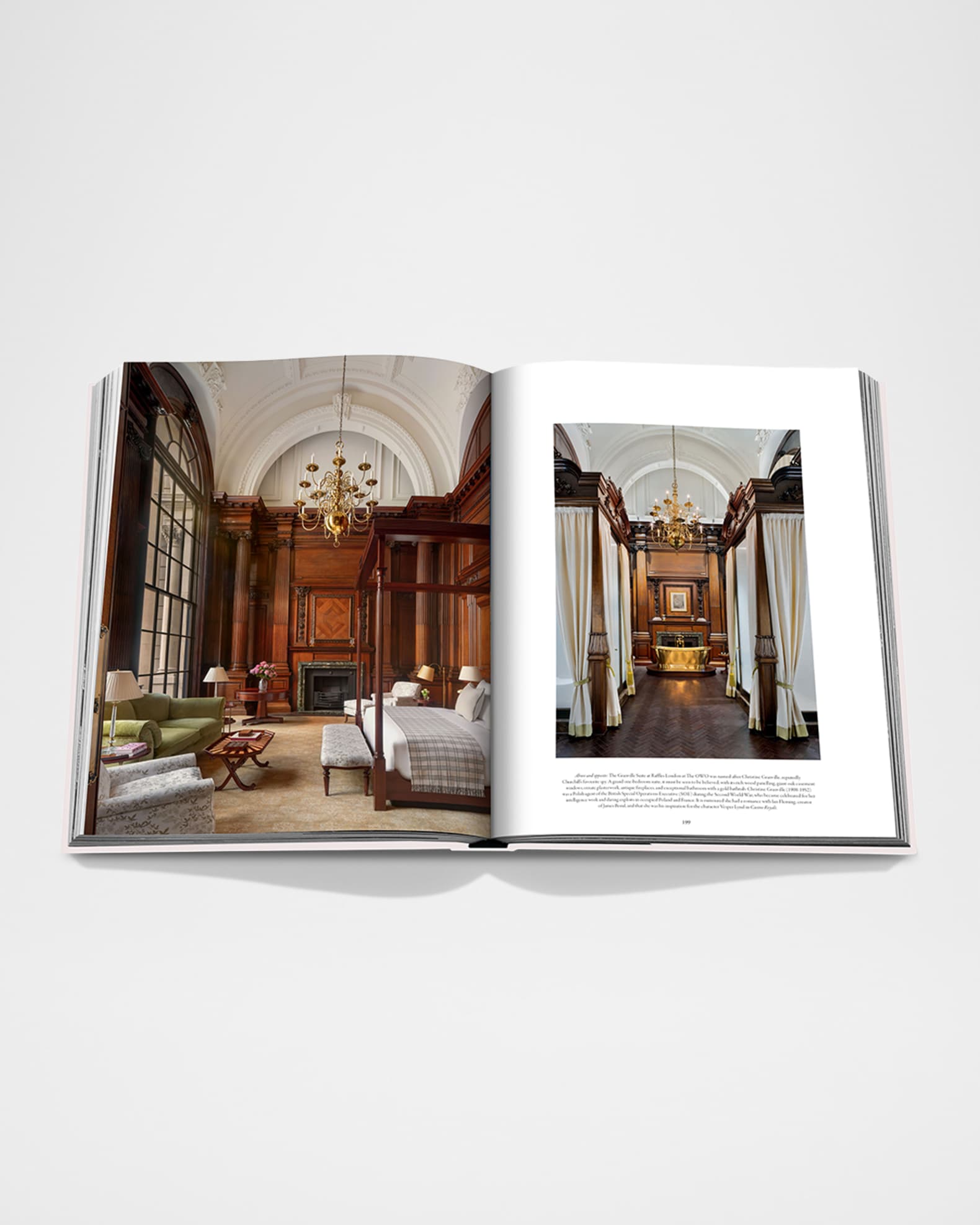 Assouline "Raffles: From Your Butler" Book by Mark Ellwood & Derek C ...