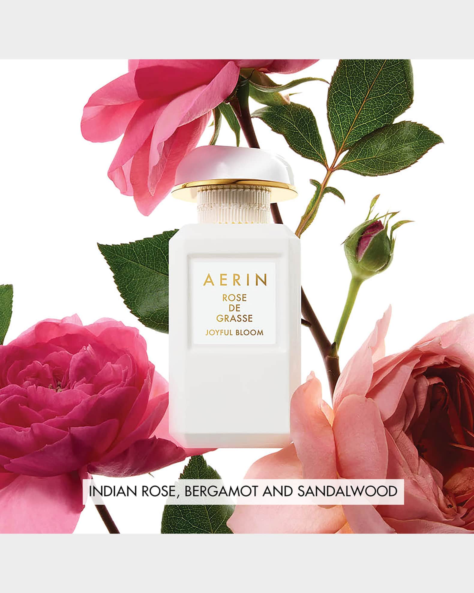 AERIN Rose Collection RDG Joyful Bloom Set | Neiman Marcus