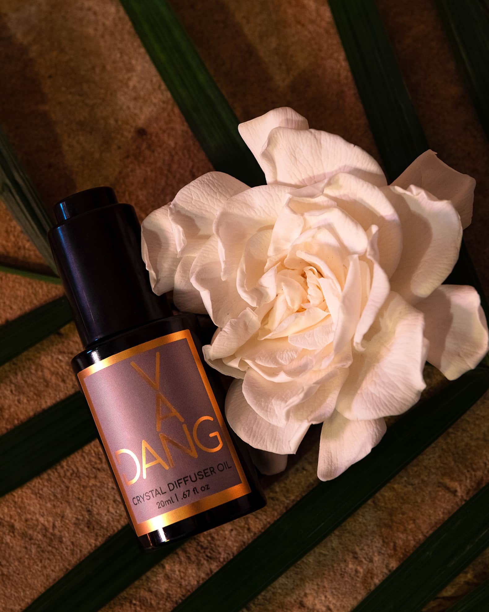 Van Dang Fragrances Savannah Dropper Diffuser Oil Refill, 0.67 oz ...