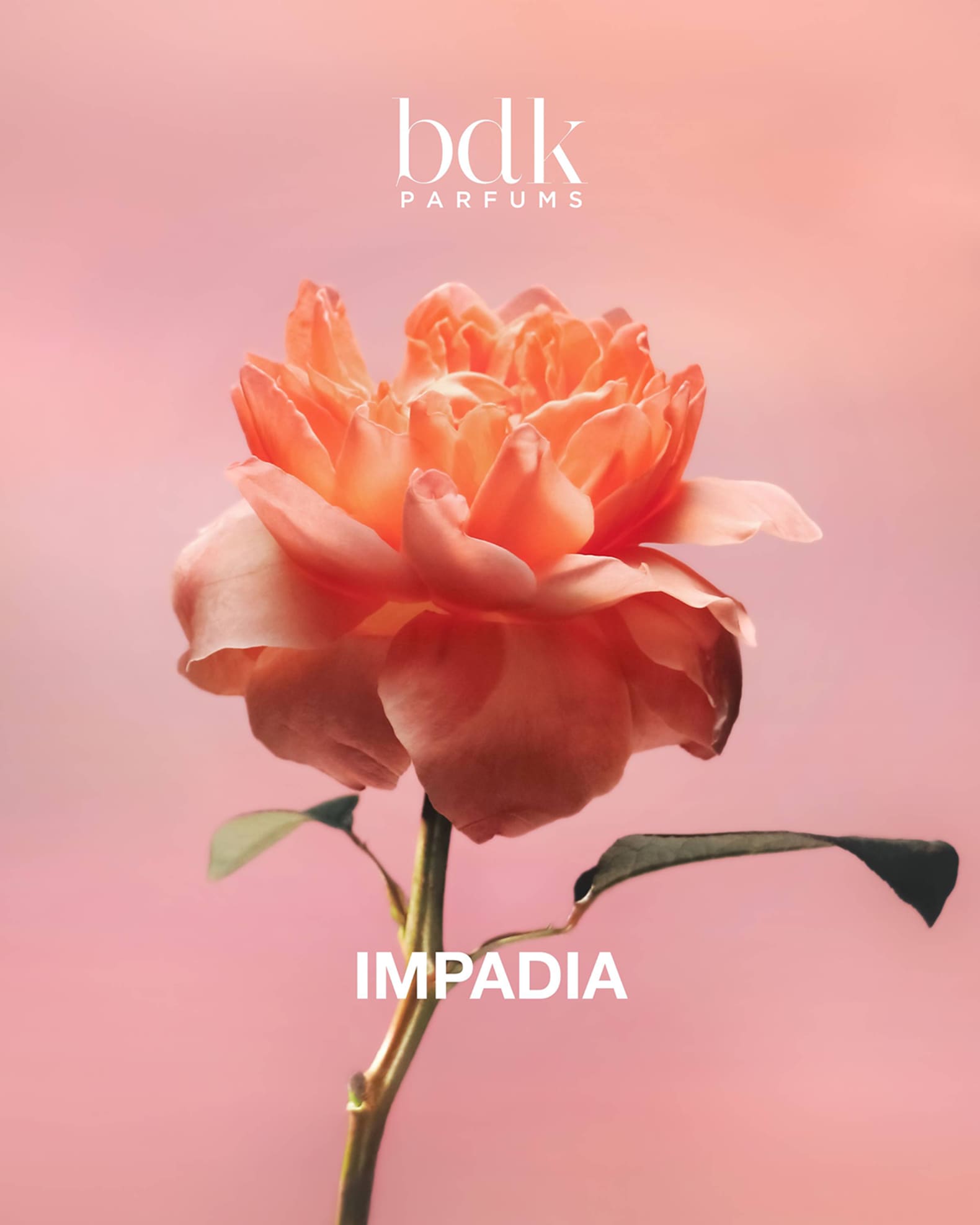 BDK Parfums Impadia EDP 100mL | Neiman Marcus