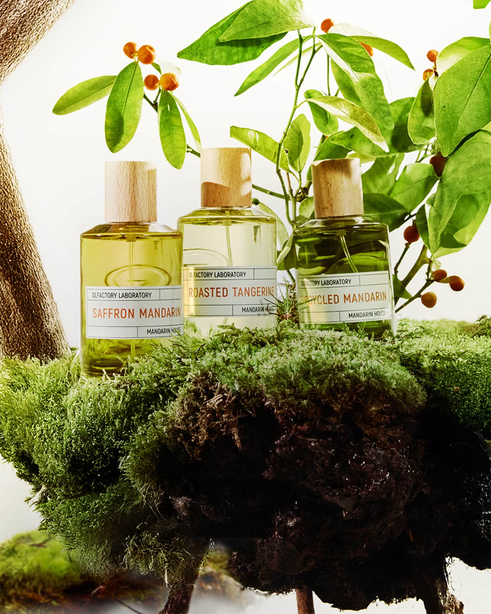 Liquides Imaginaires Roasted Tangerine Eau de Parfum, 3.4 oz. | Neiman ...