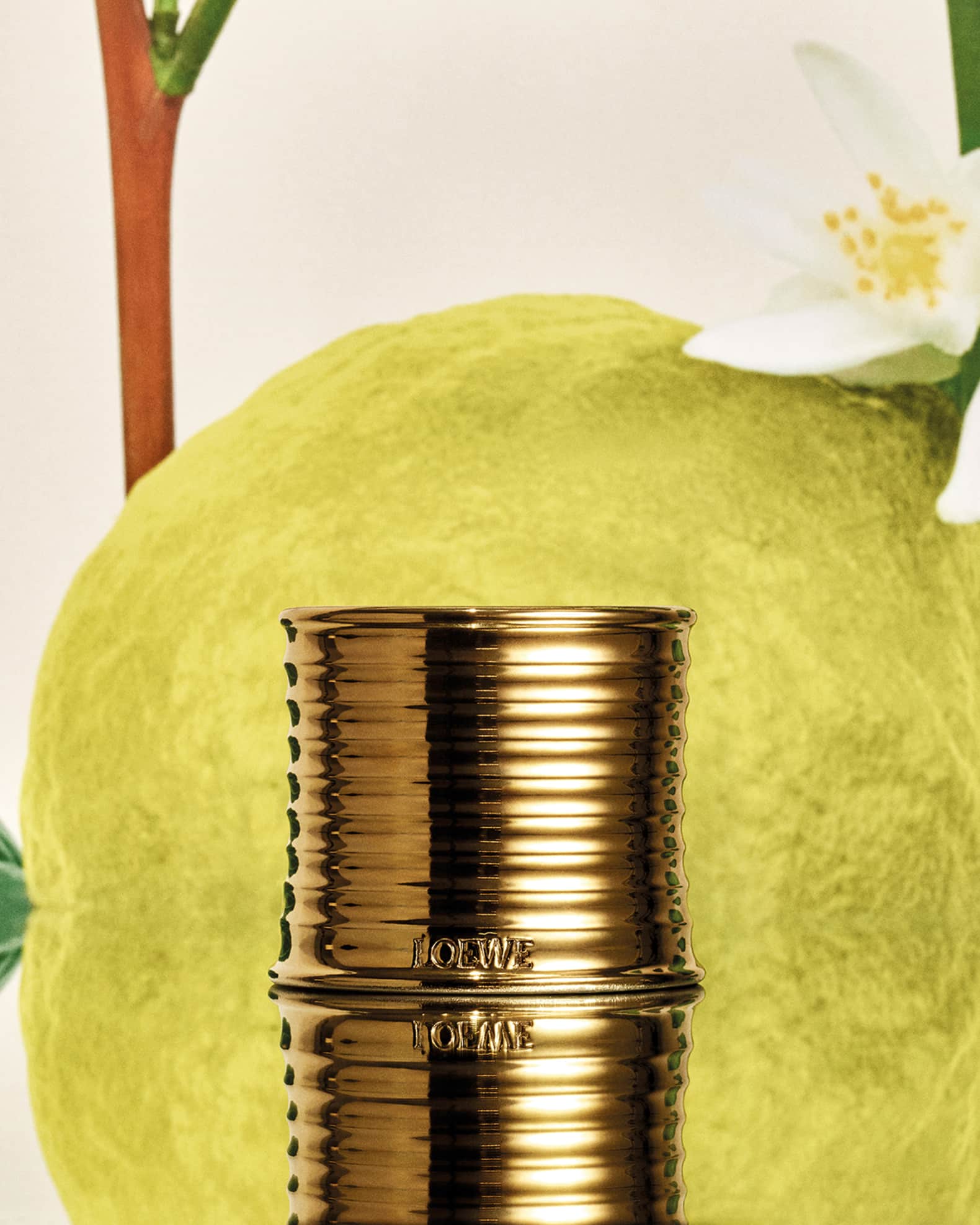Loewe LOEWE Earl Grey Midi Scented Candle | Neiman Marcus