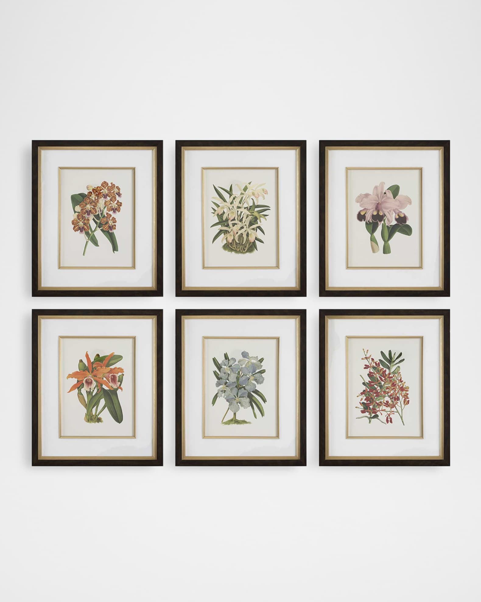"Orchid" Framed Botanical Prints, Set of 6 | Neiman Marcus