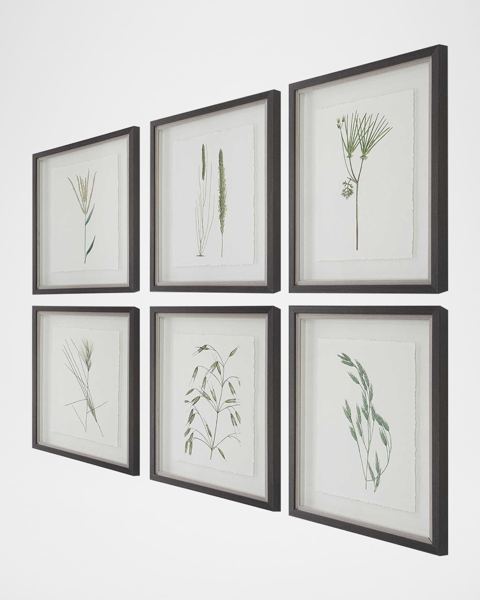 "Forest Finds" Framed Botanical Prints, Set of 6 | Neiman Marcus