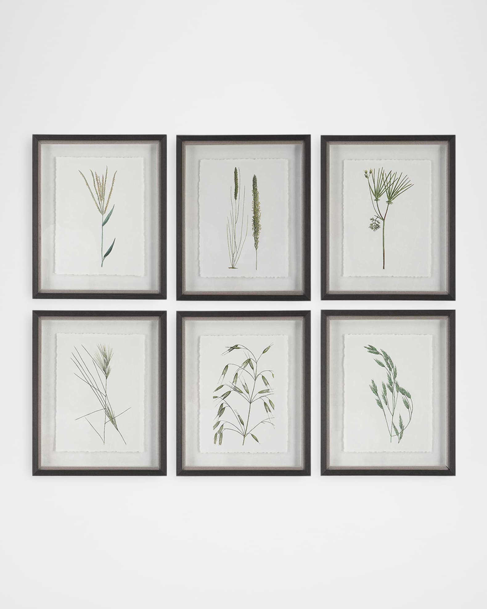"Forest Finds" Framed Botanical Prints, Set of 6 | Neiman Marcus