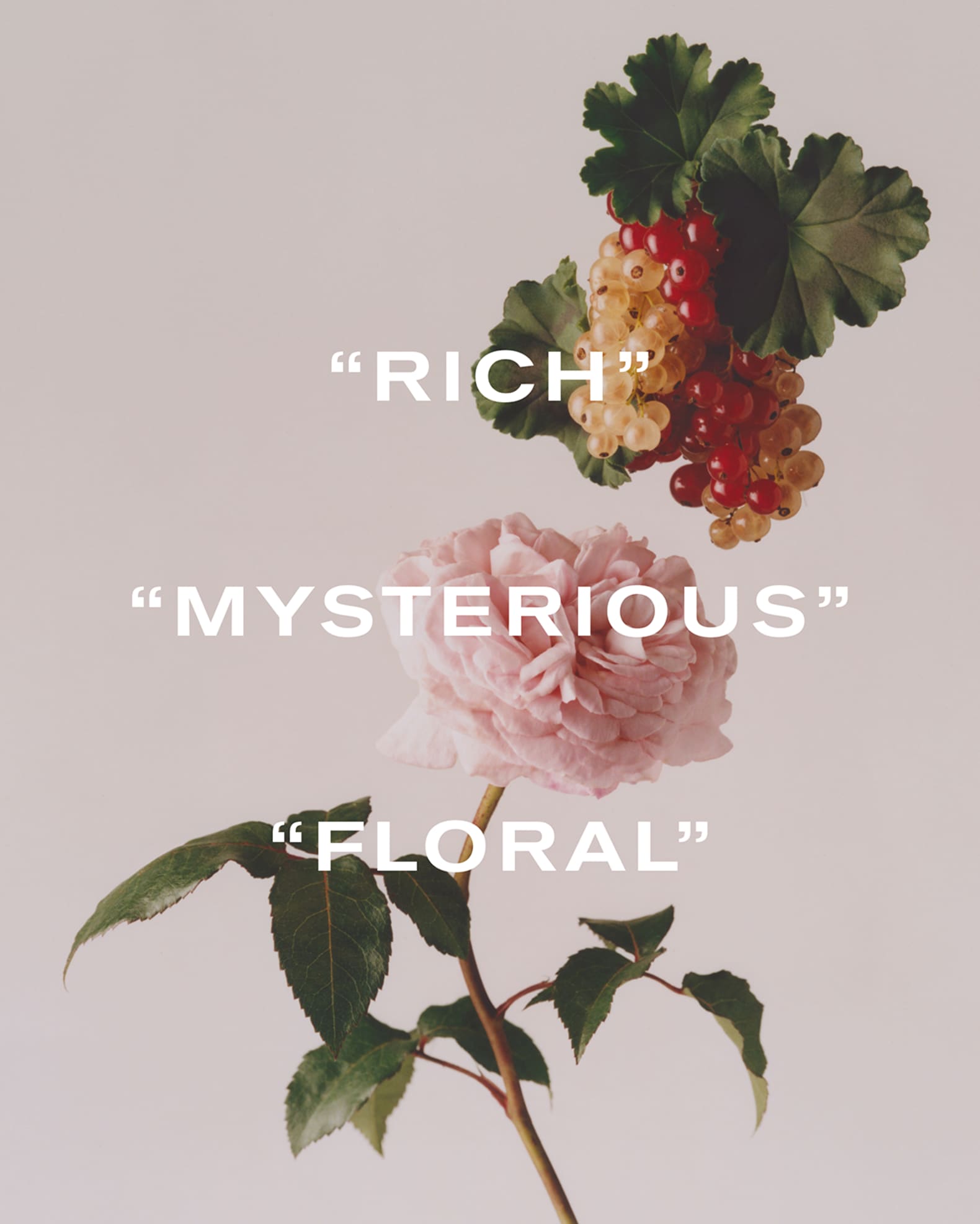 Liberty LBTY. x Hamid Merati-Kashani Wild Rosinda Eau de Parfum, 1.7 oz ...