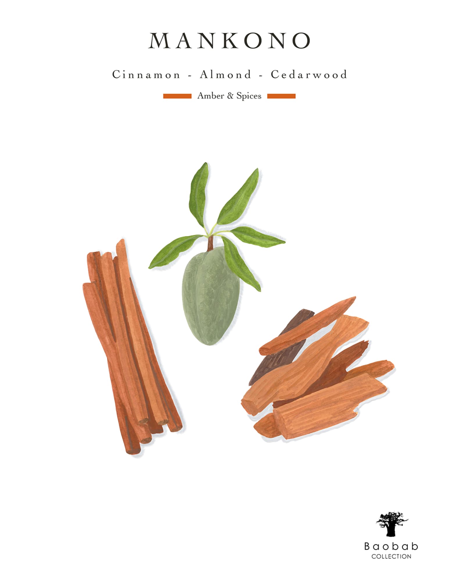 Baobab Collection Sacred Trees Mankono 4-Wick Max 16 Candle, 2.3 kg ...