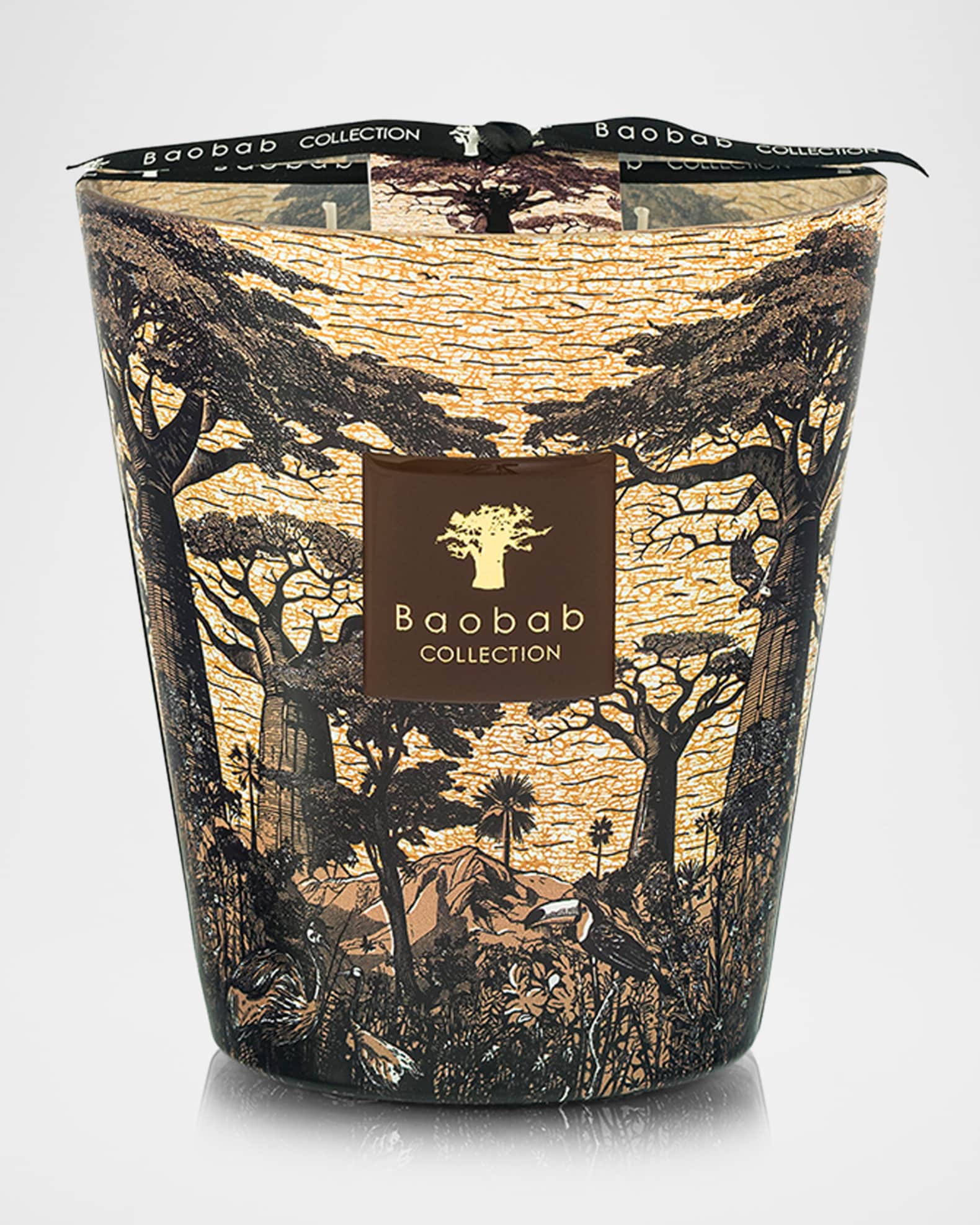 Baobab Collection Sacred Trees Mankono 4-Wick Max 16 Candle, 2.3 kg ...