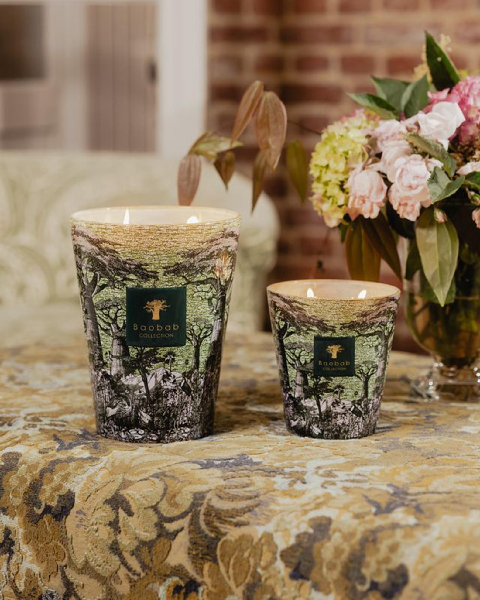 Baobab Collection Sacred Trees Touba 4-Wick Max 10 Candle, 1.3 kg ...