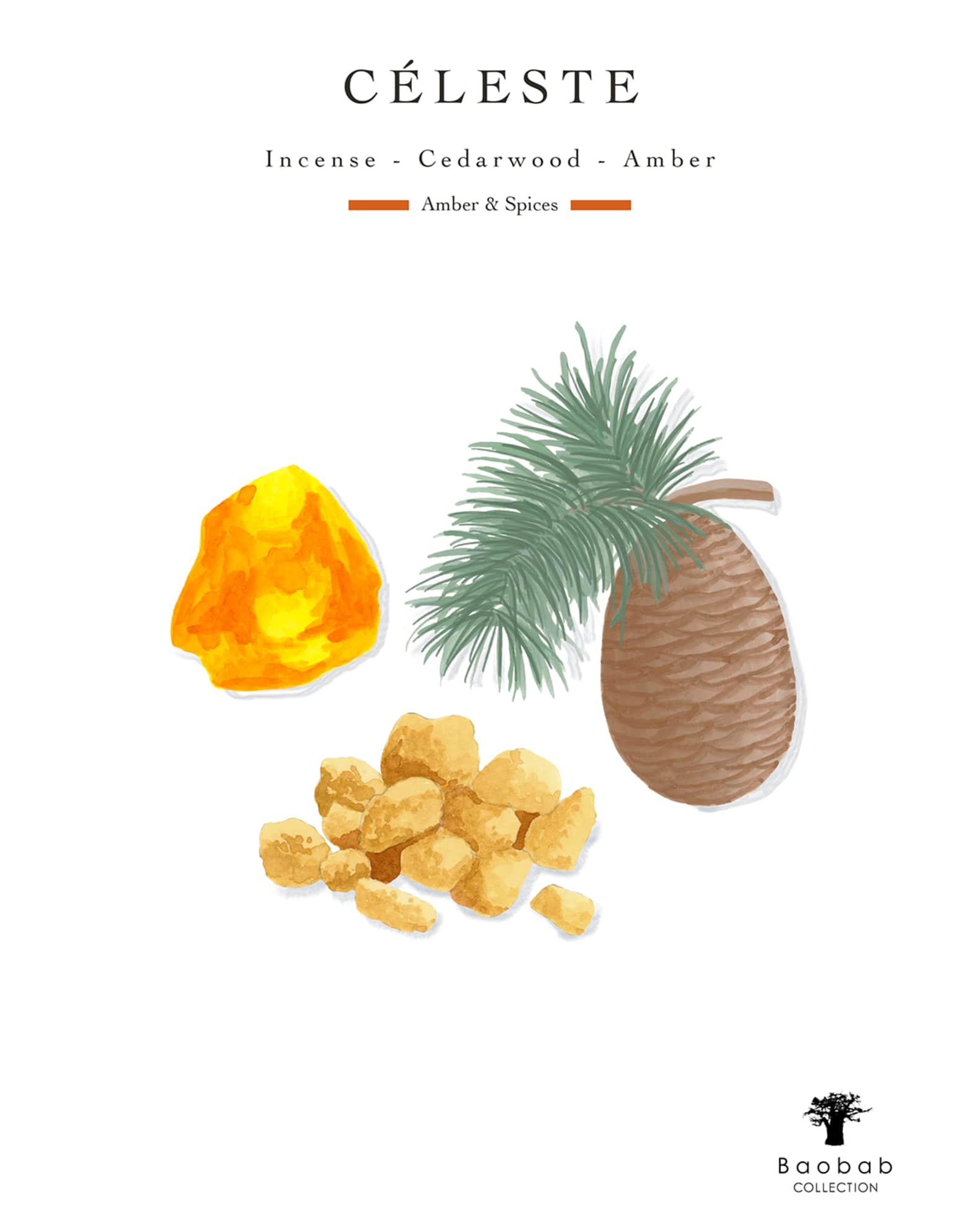 Baobab Collection Celeste 4-Wick Max 10 Candle, 1.3 kg | Neiman Marcus