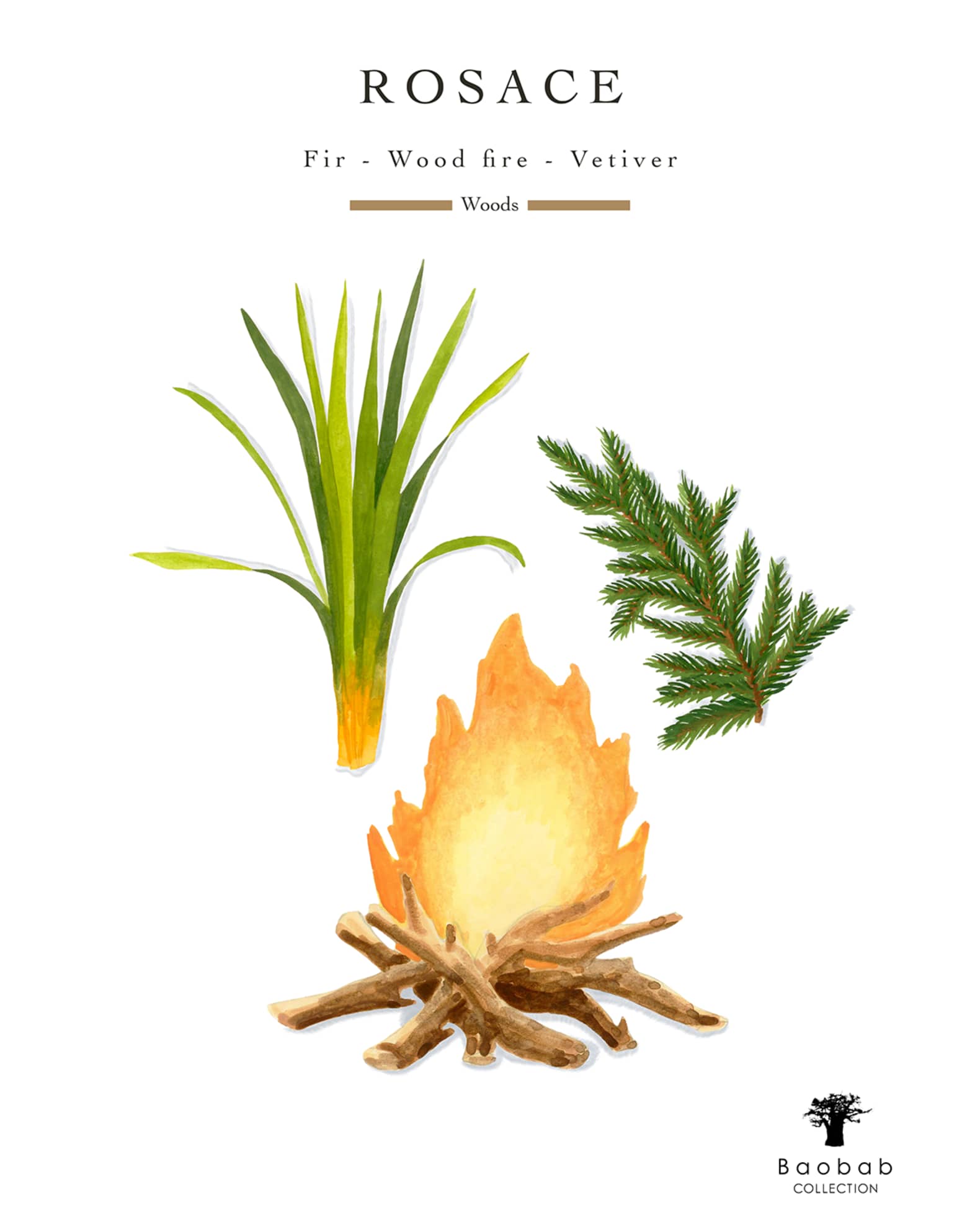 Baobab Collection Rosace 5-Wick Max 24 Candle, 5.2 kg | Neiman Marcus