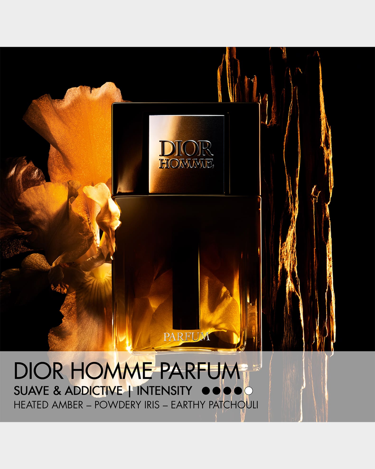 Dior Dior Homme Parfum | Neiman Marcus