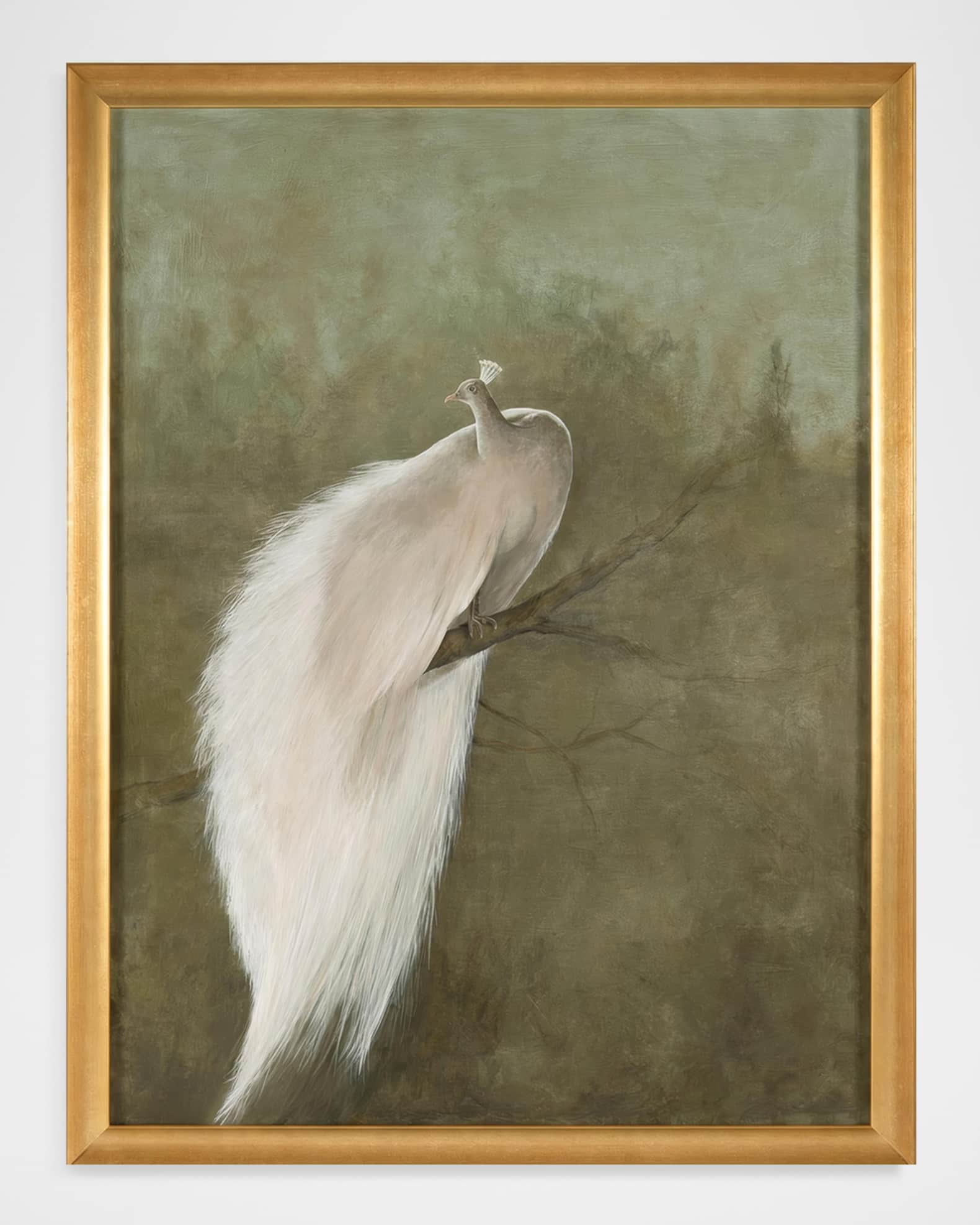 John-Richard Collection "The White Peacock" Framed Giclee by Debra ...