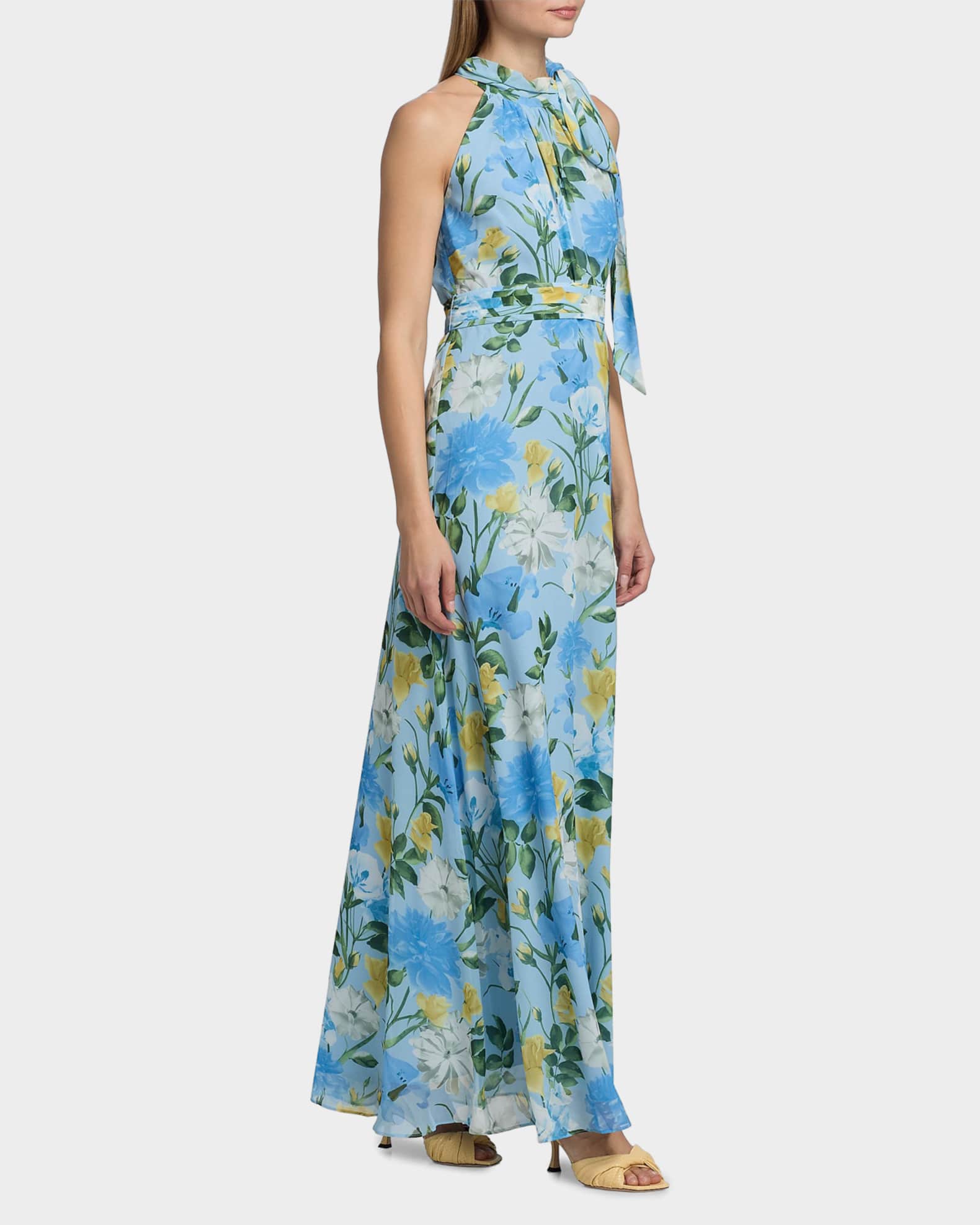 SACHIN BABI Diana Floral Chiffon Maxi Dress | Neiman Marcus