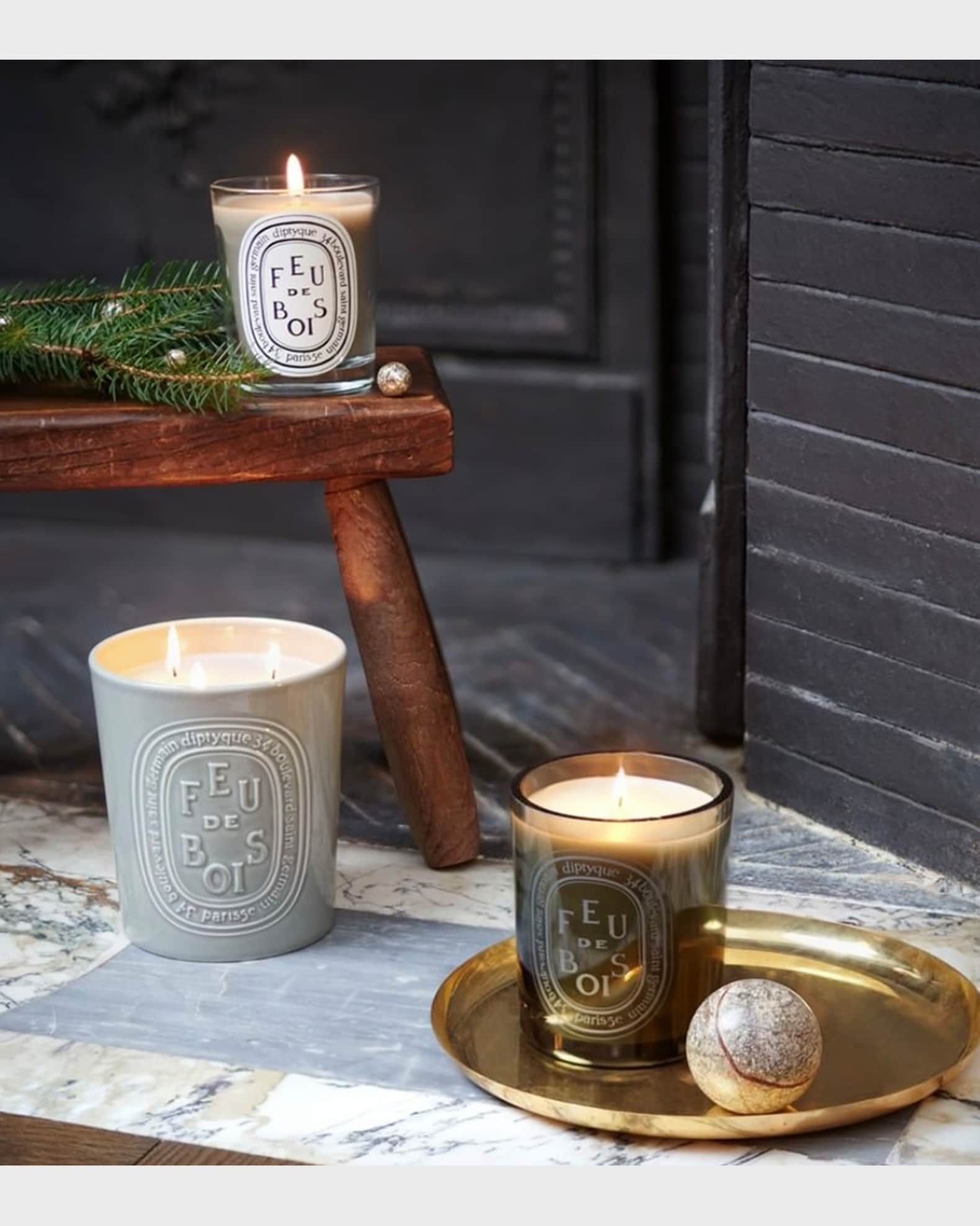 DIPTYQUE Feu de Bois (Fire Wood) Indoor & Outdoor Scented Candle, 51.3 ...